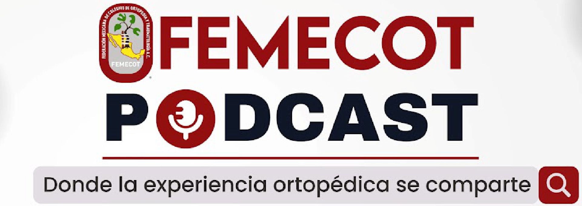 Inicio | FEMECOT